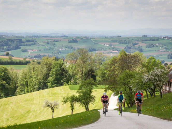 Sport in Stadt Linz - Aktivitäten