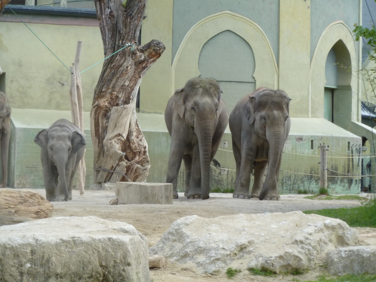 Münchner Tierpark Hellabrunn